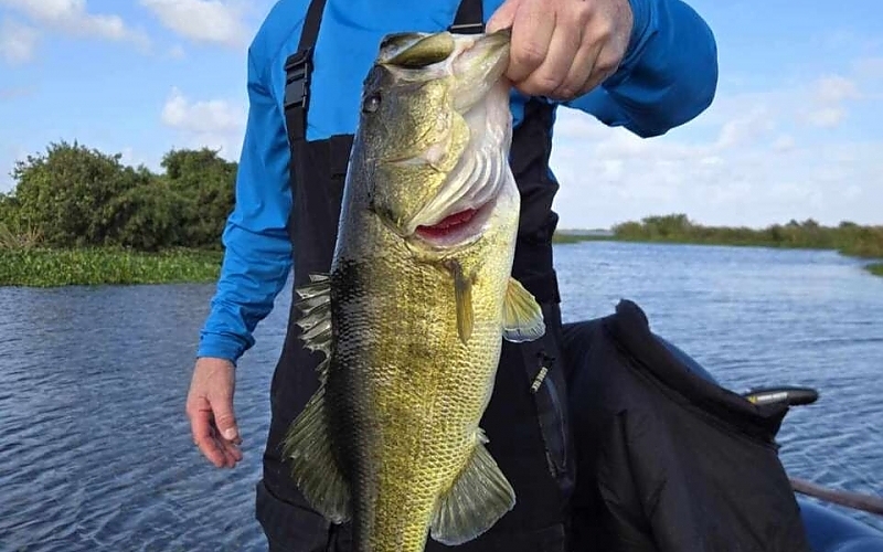 Incredible Three Day Fishing Adventure | Bass Fishing Tips for Vero ...