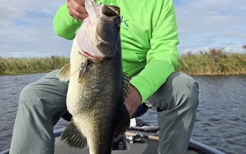 Great day fishing with my great friend, Steve. | Bass Fishing Tips for ...