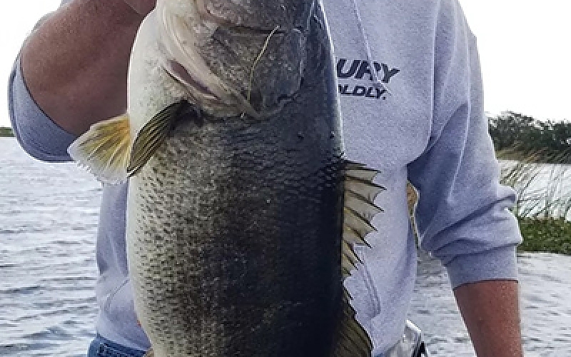The Art of Catching Trophy Largemouth Bass on Stick Marsh